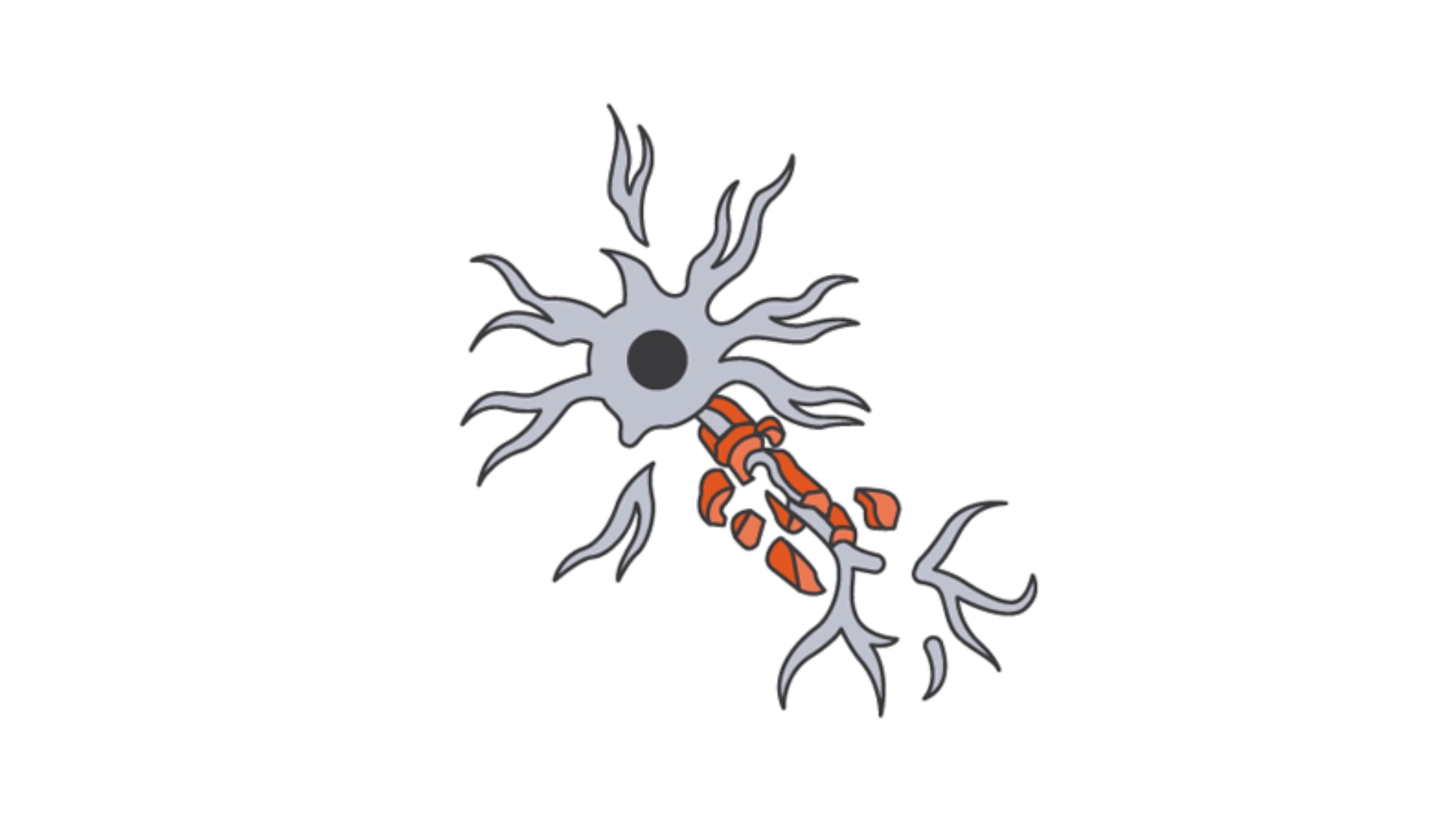 Acute & Smoldering Neuroinflammation